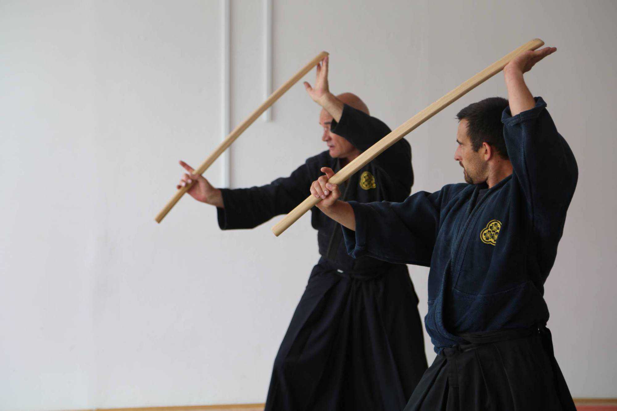 Taikai - Sakura Ryu Aikijutsu | LYNX PRO