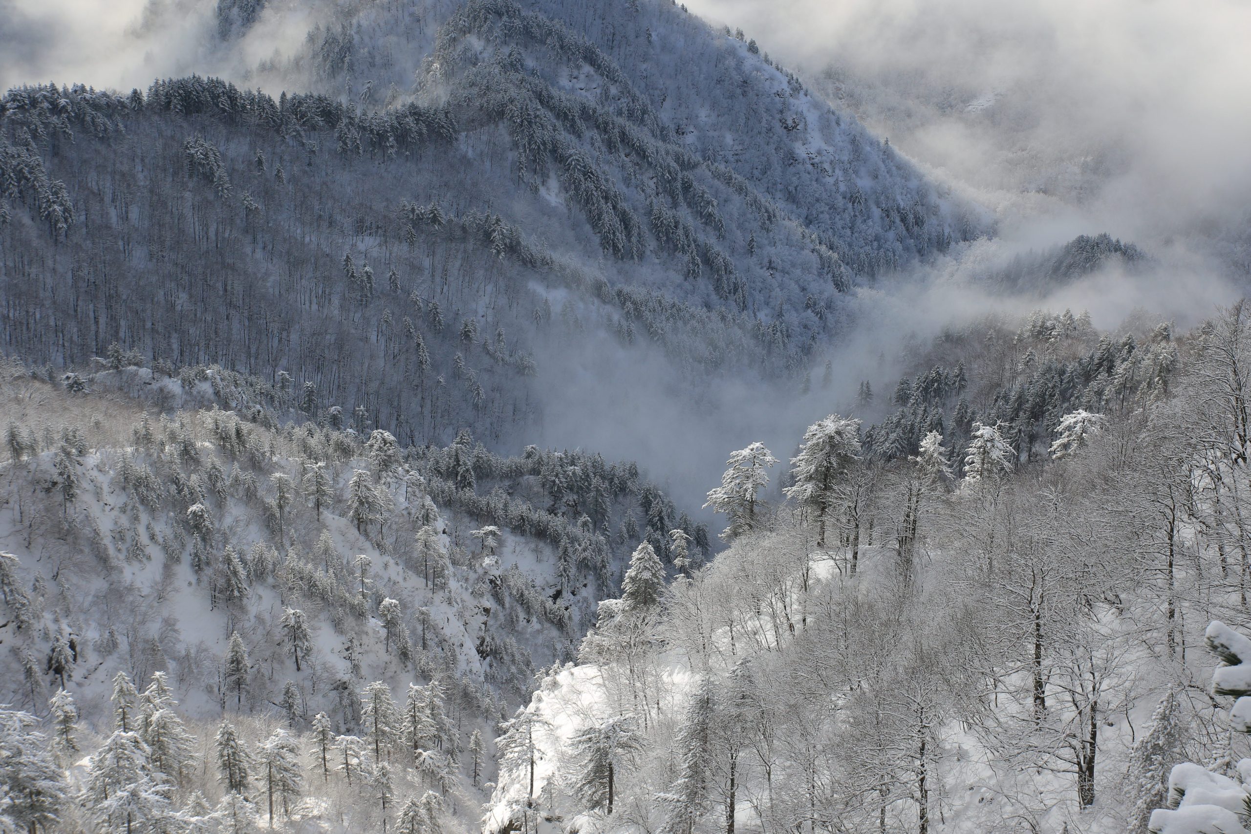 Basic Winter Survival L2 Course | Survival Courses | LYNX PRO